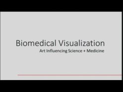 Biomedical Visualization: Art Influencing Science and Medicine